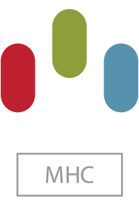 Team MHC, Author at Team MHC